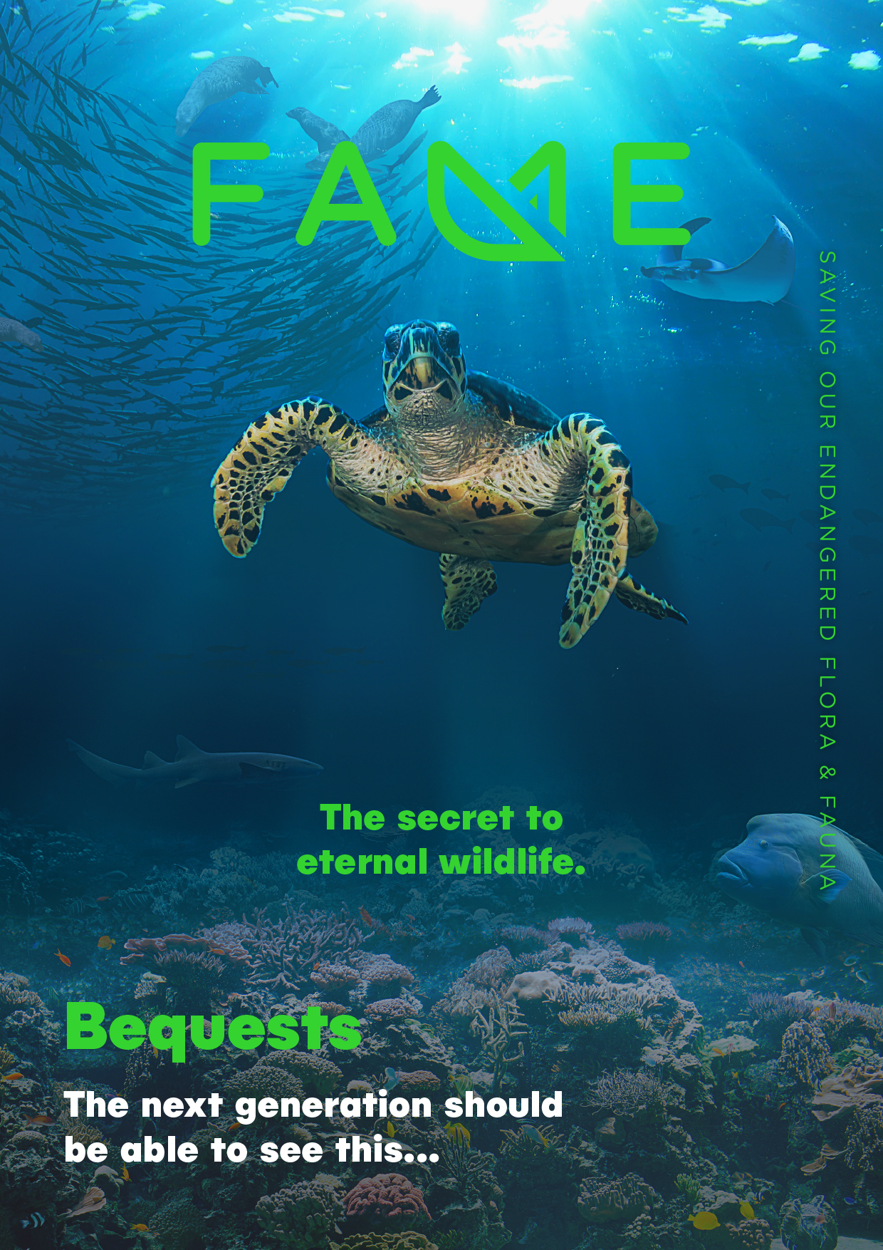 How You Can Help — The Foundation for Australia’s Most Endangered ...